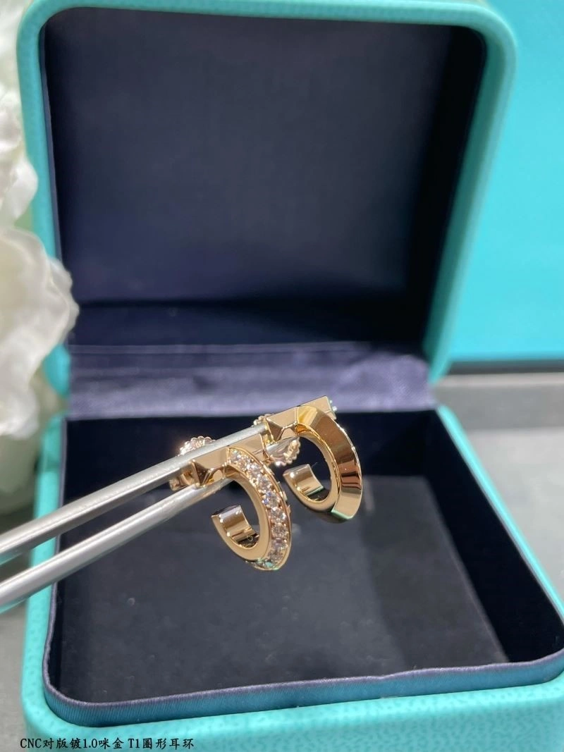 Value-priced Tiffany Earrings