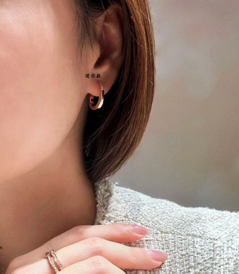 Economical Tiffany Earrings
