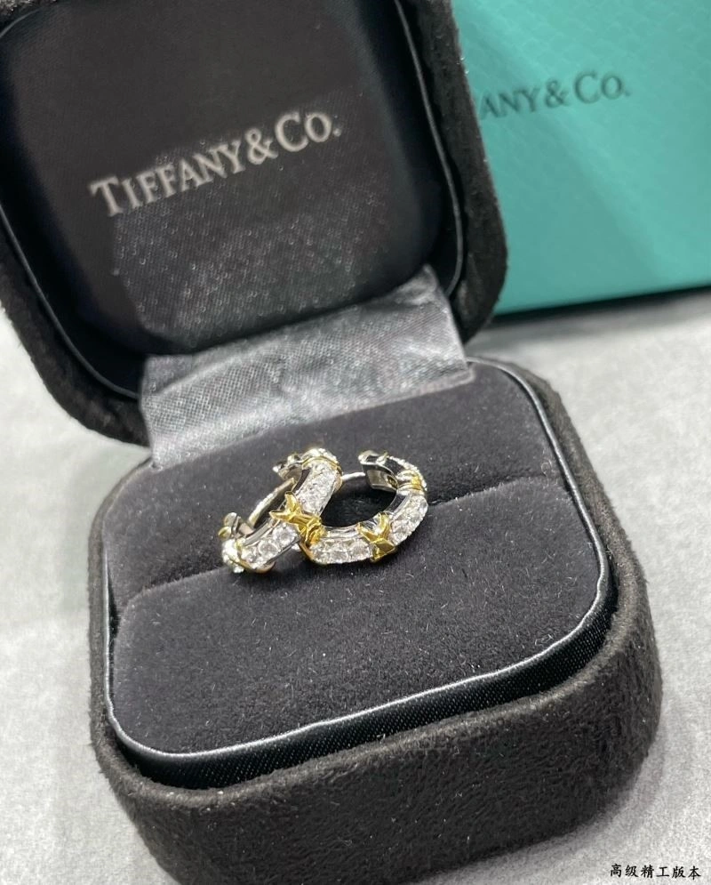 Top mirror Tiffany Earrings