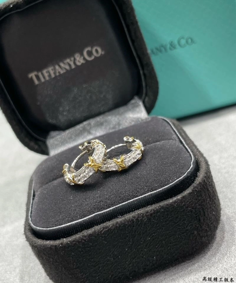 Top mirror Tiffany Earrings