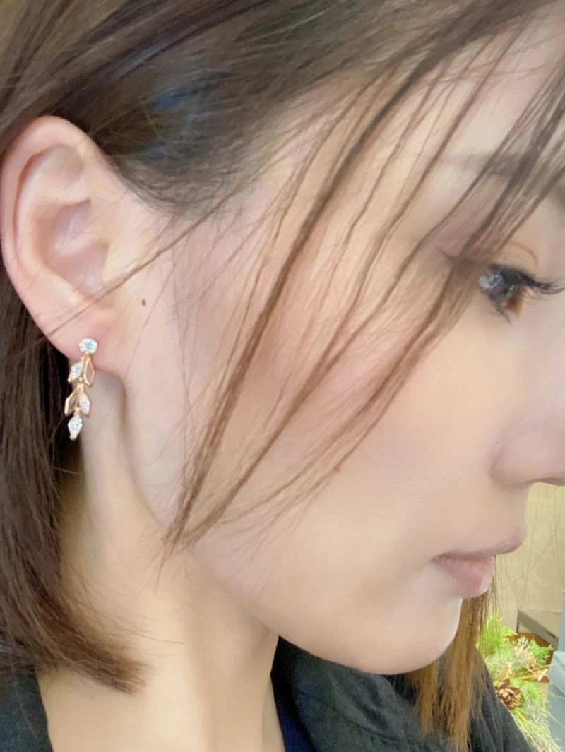 Mirror quality Tiffany Earrings