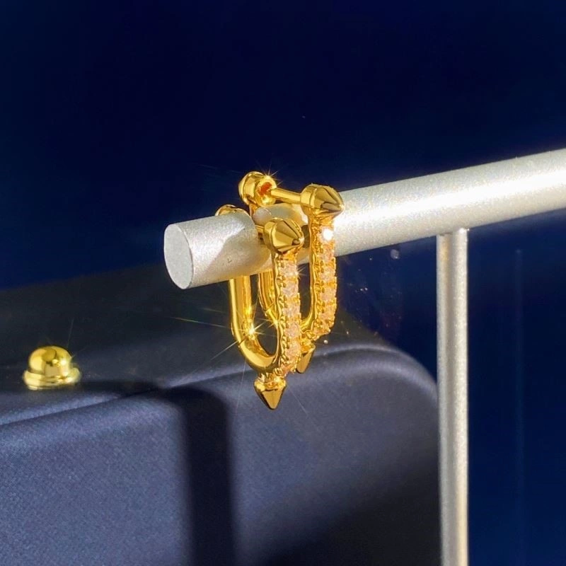 Brand-original Tiffany Earrings