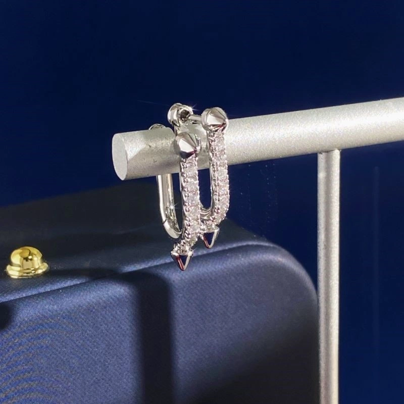 Brand-original Tiffany Earrings