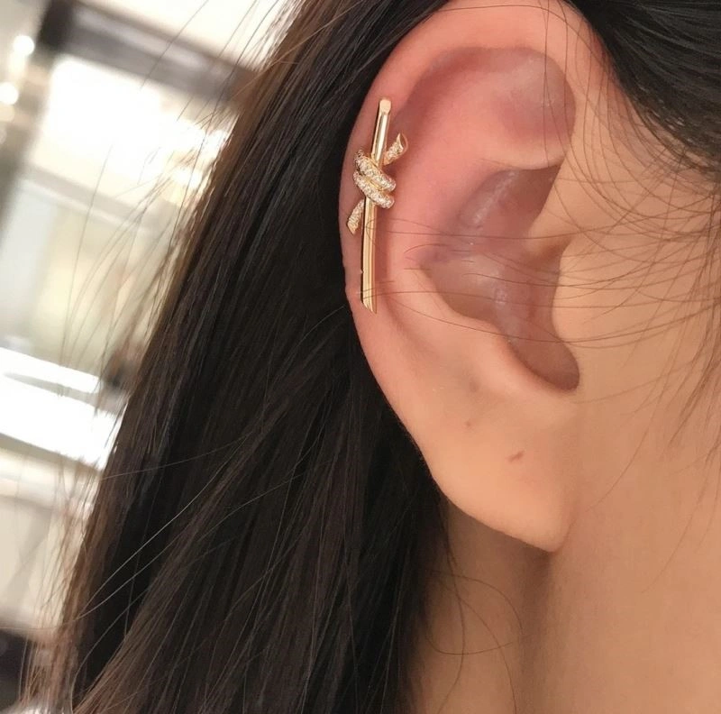 Economical Tiffany Earrings