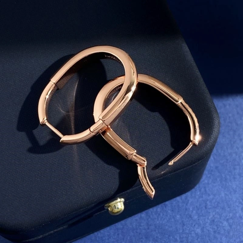 Budget-friendly Tiffany Earrings