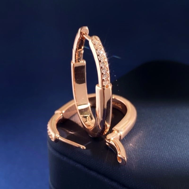 Budget-friendly Tiffany Earrings