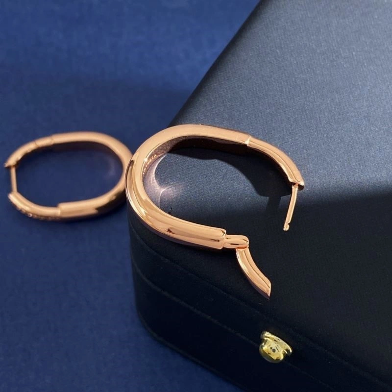 Budget-friendly Tiffany Earrings