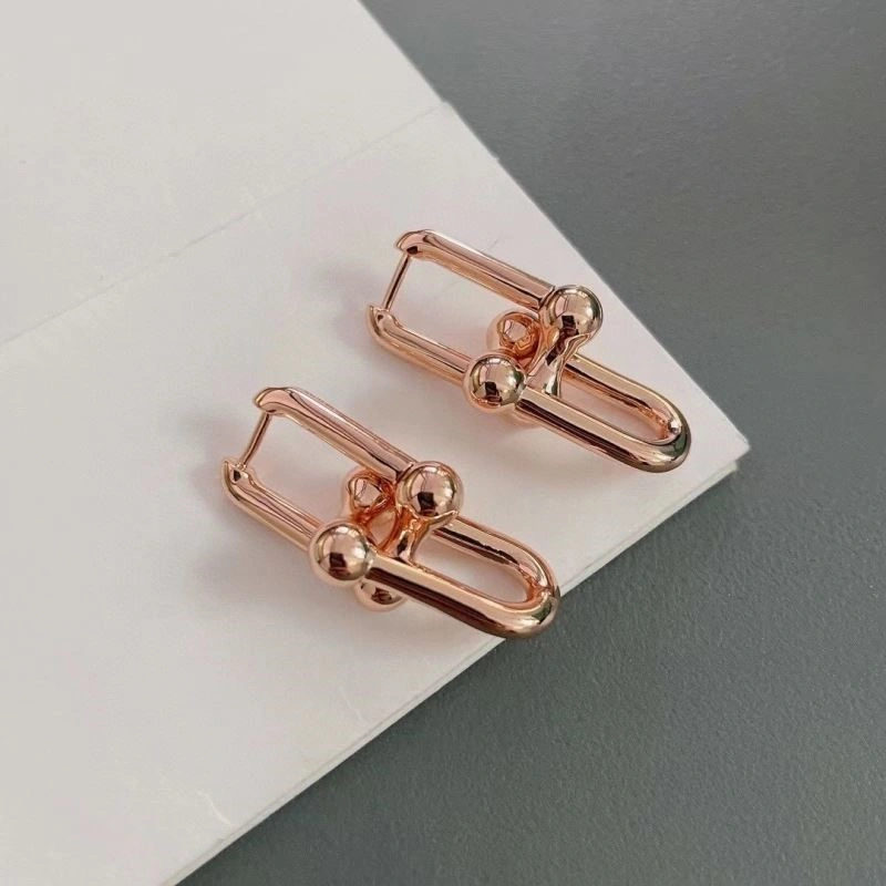 High accuracy Tiffany Earrings