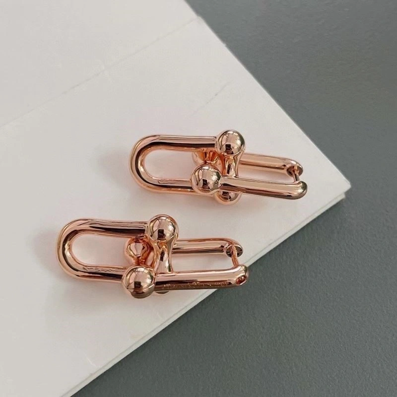 High accuracy Tiffany Earrings