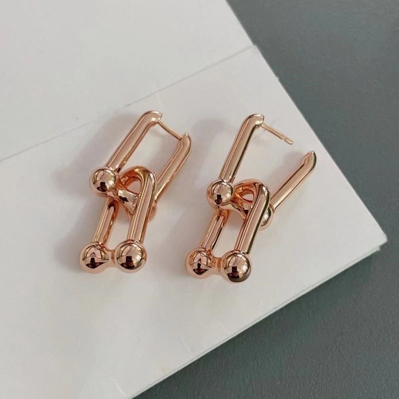 High accuracy Tiffany Earrings