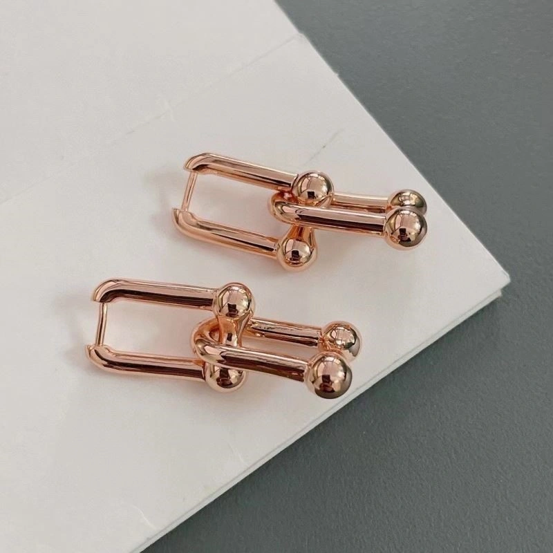 High accuracy Tiffany Earrings