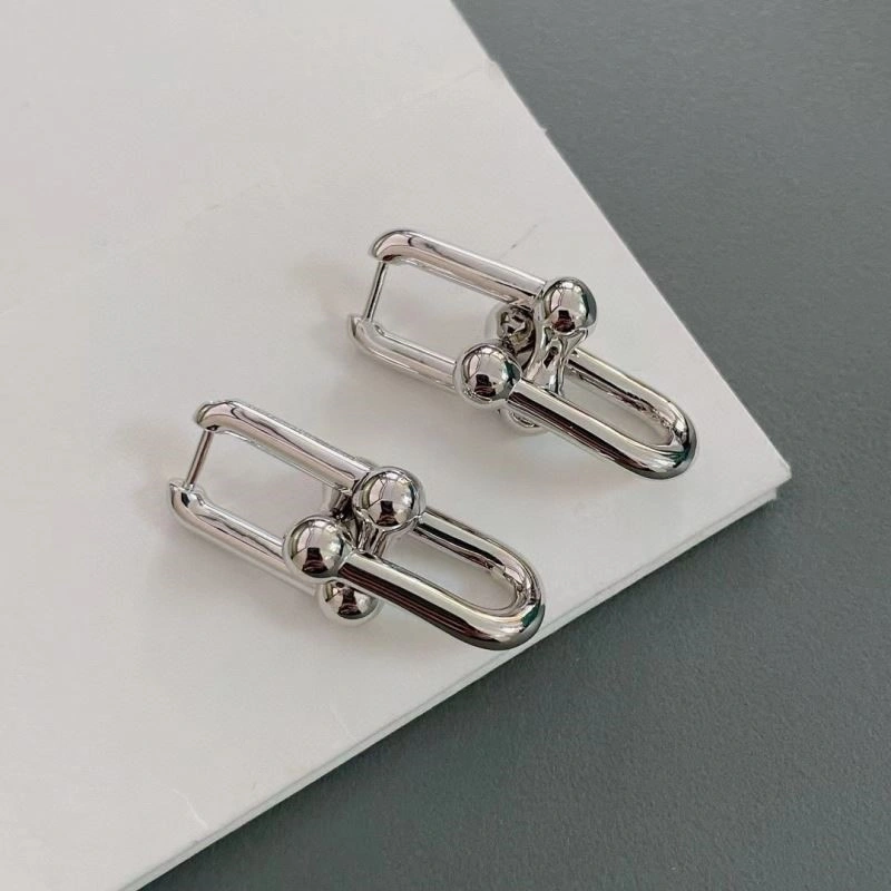 High accuracy Tiffany Earrings