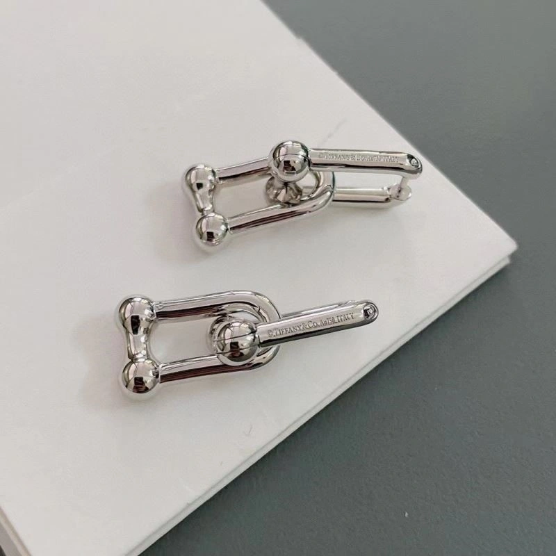 High accuracy Tiffany Earrings