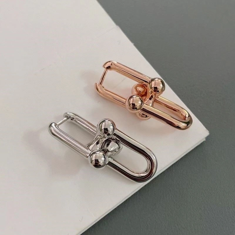High accuracy Tiffany Earrings