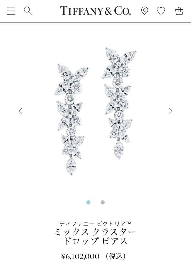 Tiffany Earrings