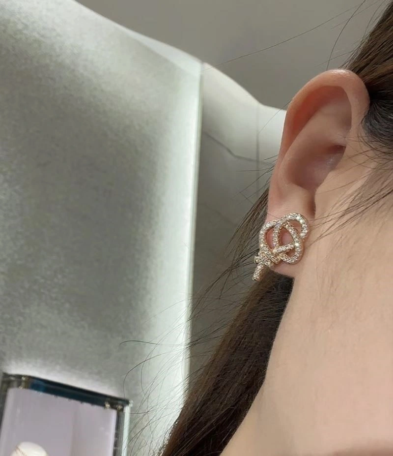 High accuracy Tiffany Earrings