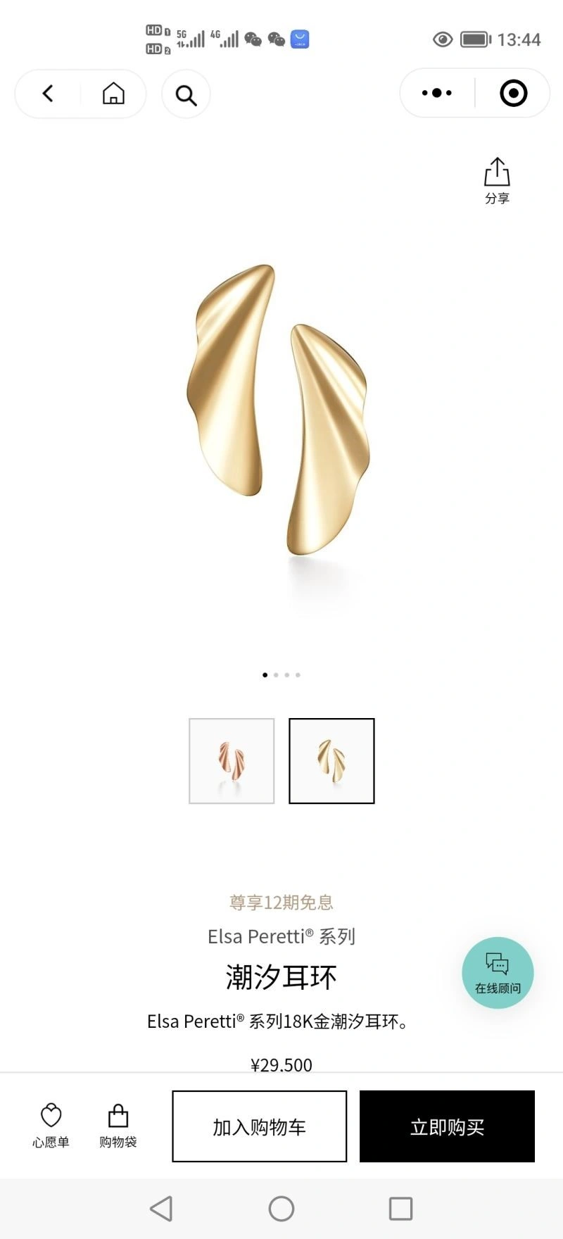 Tiffany Earrings