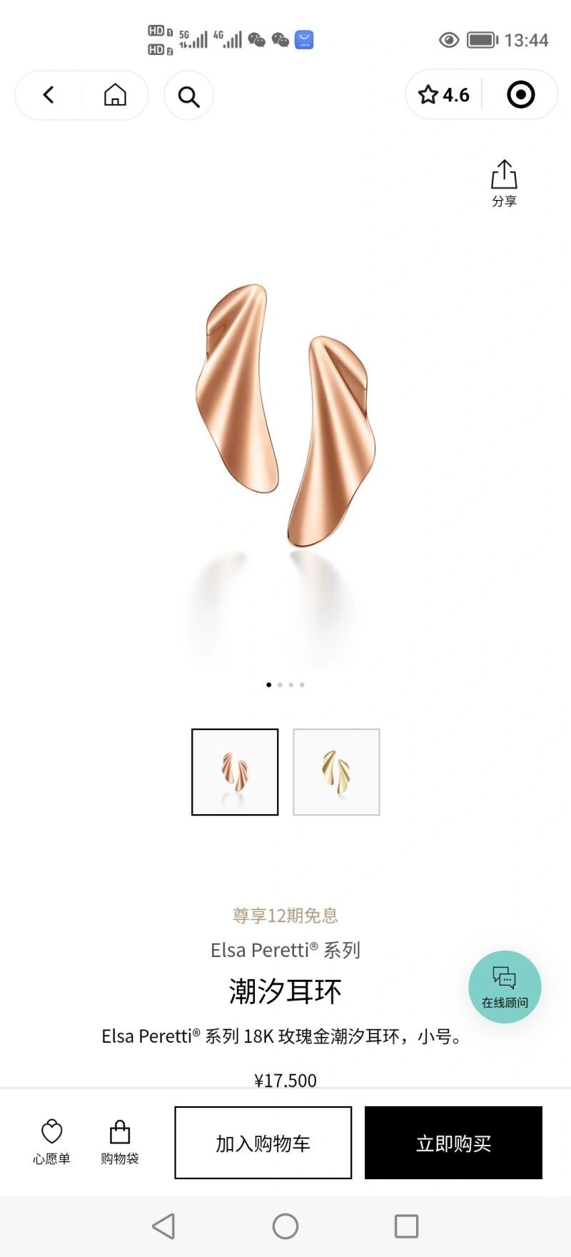 OEM Tiffany Earrings