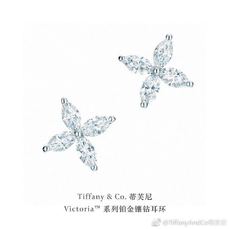 Tiffany Earrings
