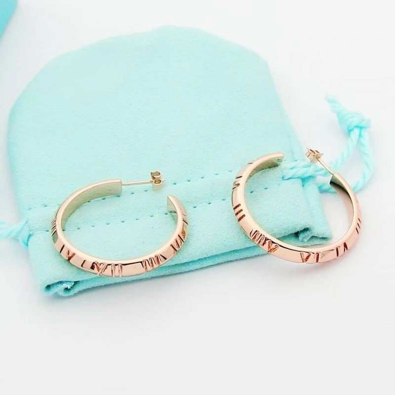 Cut-rate Tiffany Earrings
