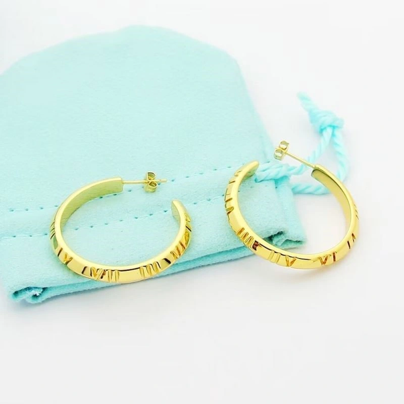 Cut-rate Tiffany Earrings