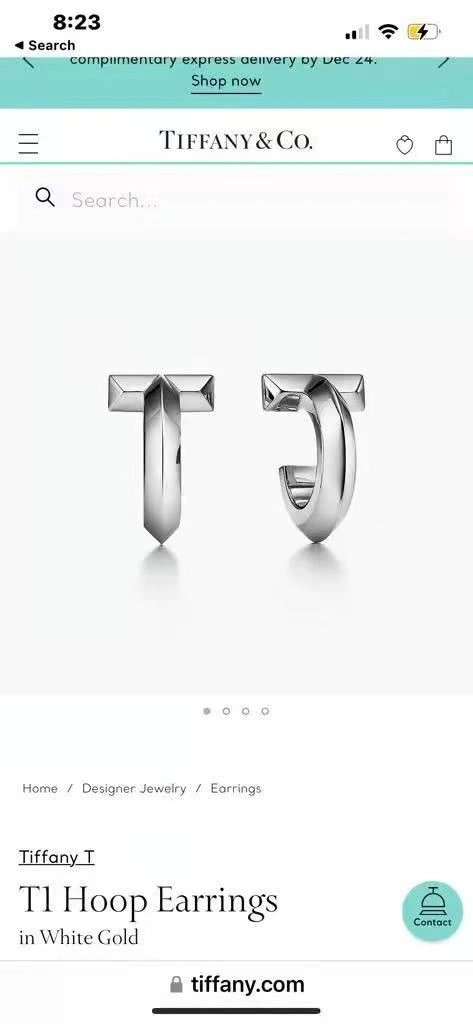 Tiffany Earrings
