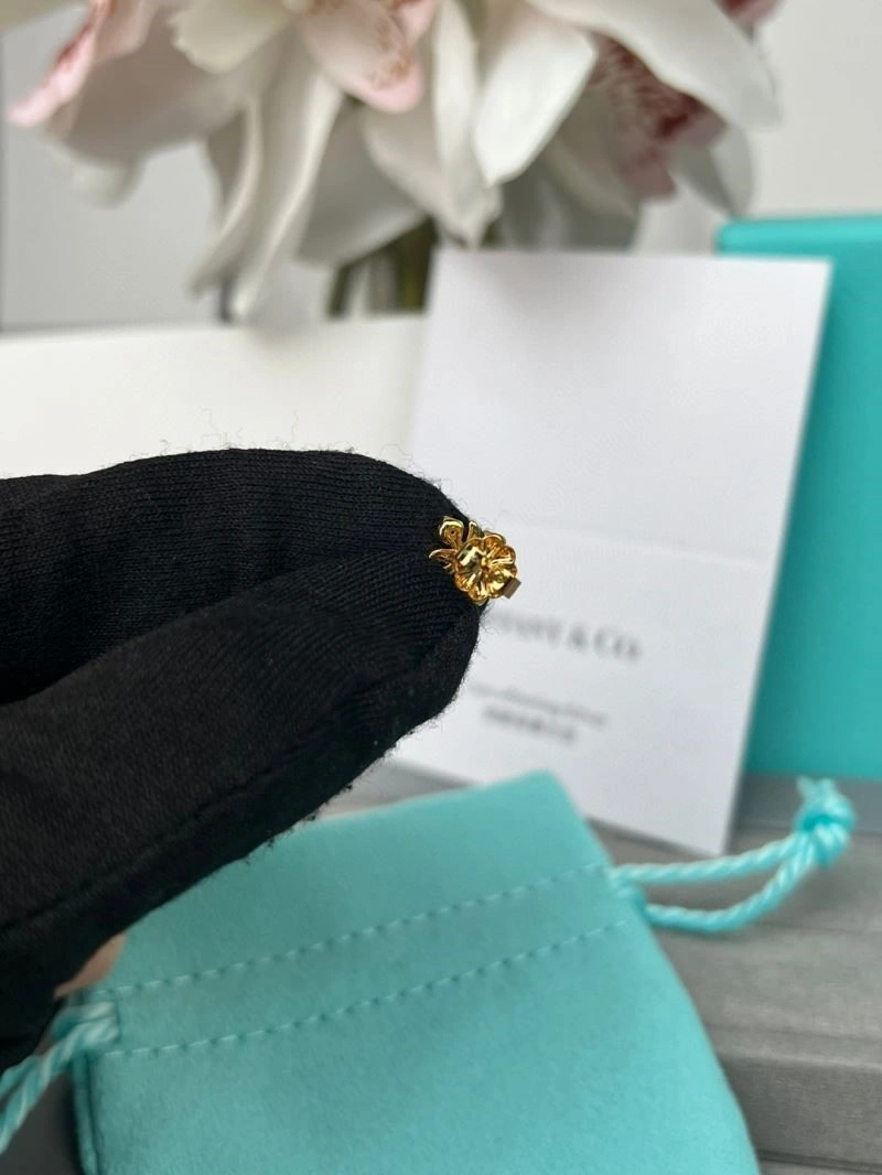 Value-priced Tiffany Earrings