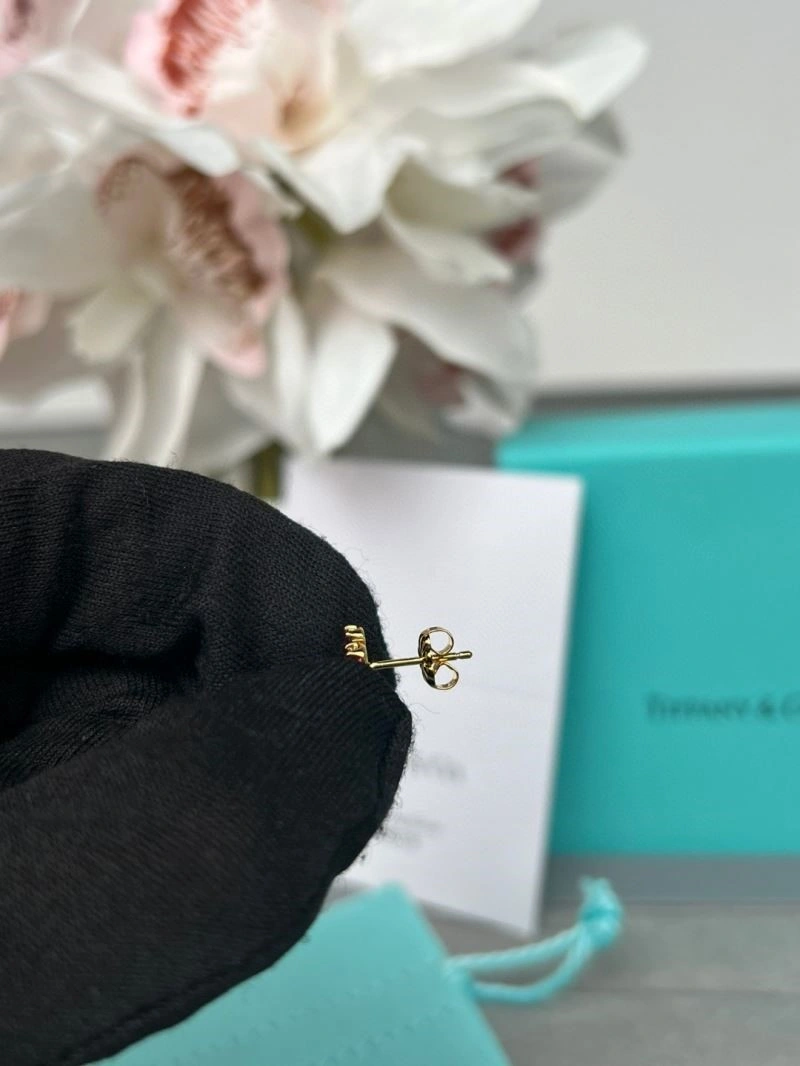 Value-priced Tiffany Earrings