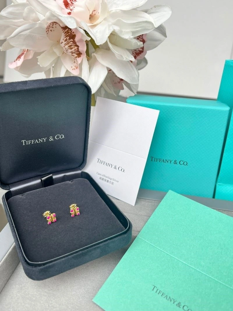 Value-priced Tiffany Earrings