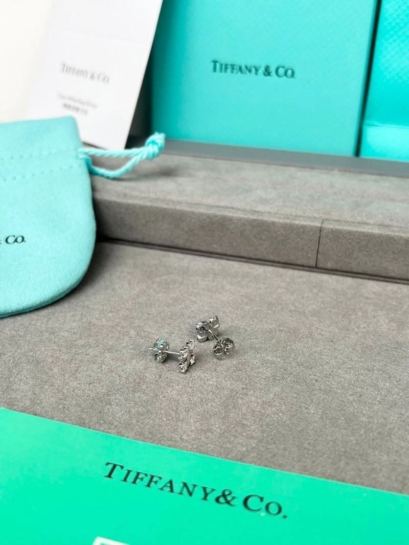 Value-priced Tiffany Earrings