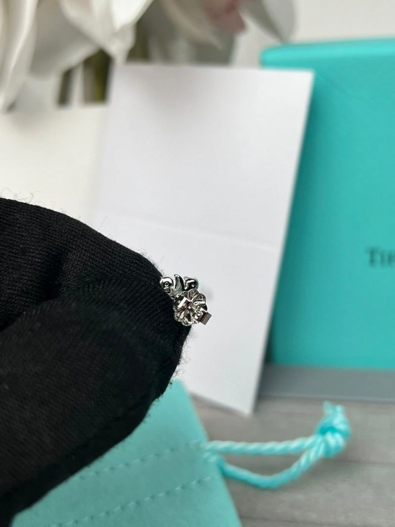 Value-priced Tiffany Earrings