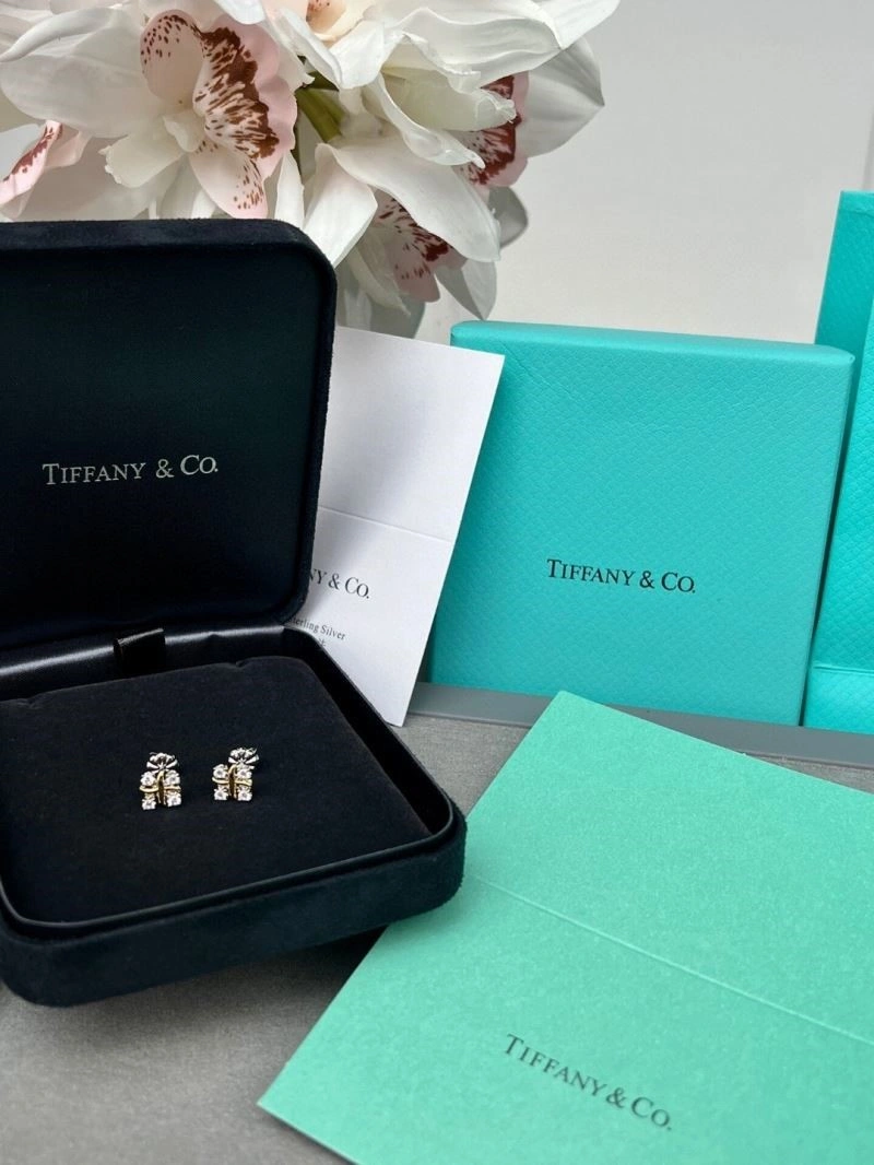 Reasonably priced Tiffany Earrings