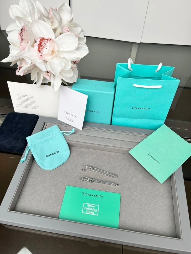 Affordable Tiffany Earrings