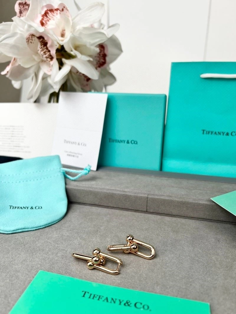 Mirror quality Tiffany Earrings