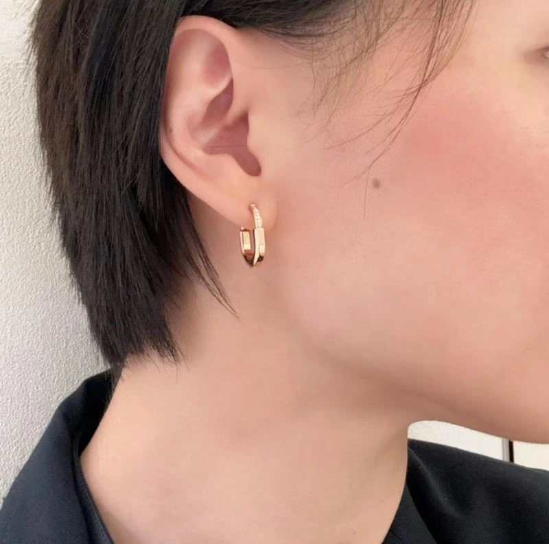 Inexpensive Tiffany Earrings