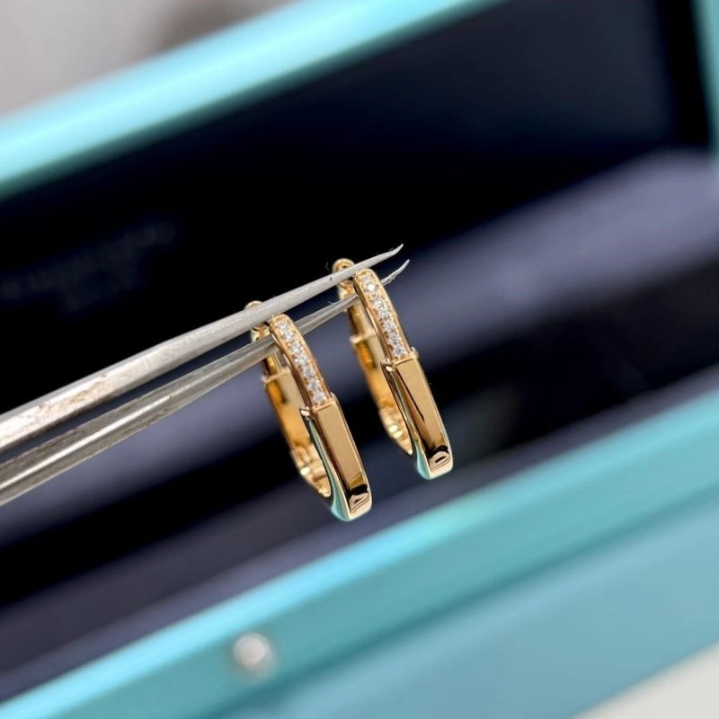 Inexpensive Tiffany Earrings
