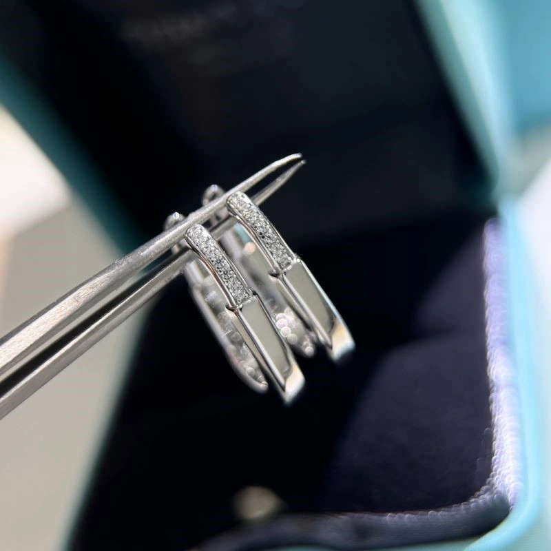 Value-priced Tiffany Earrings