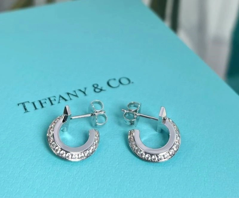 High accuracy Tiffany Earrings