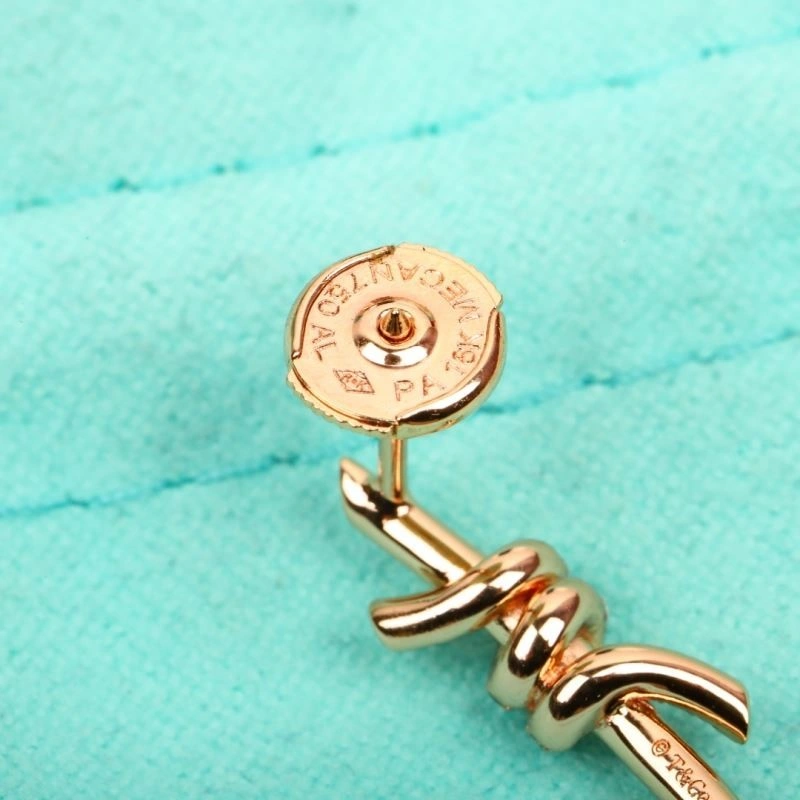 Top match Tiffany Earrings