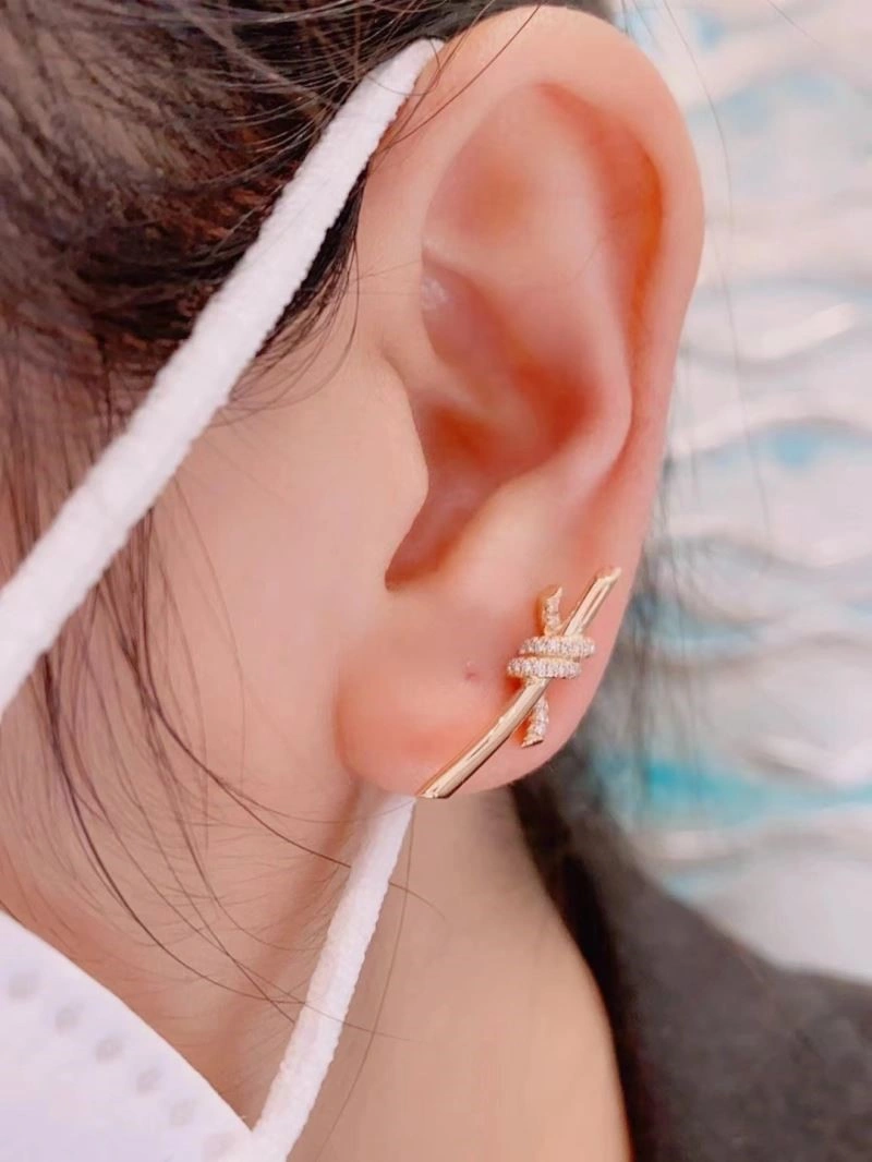 Top match Tiffany Earrings