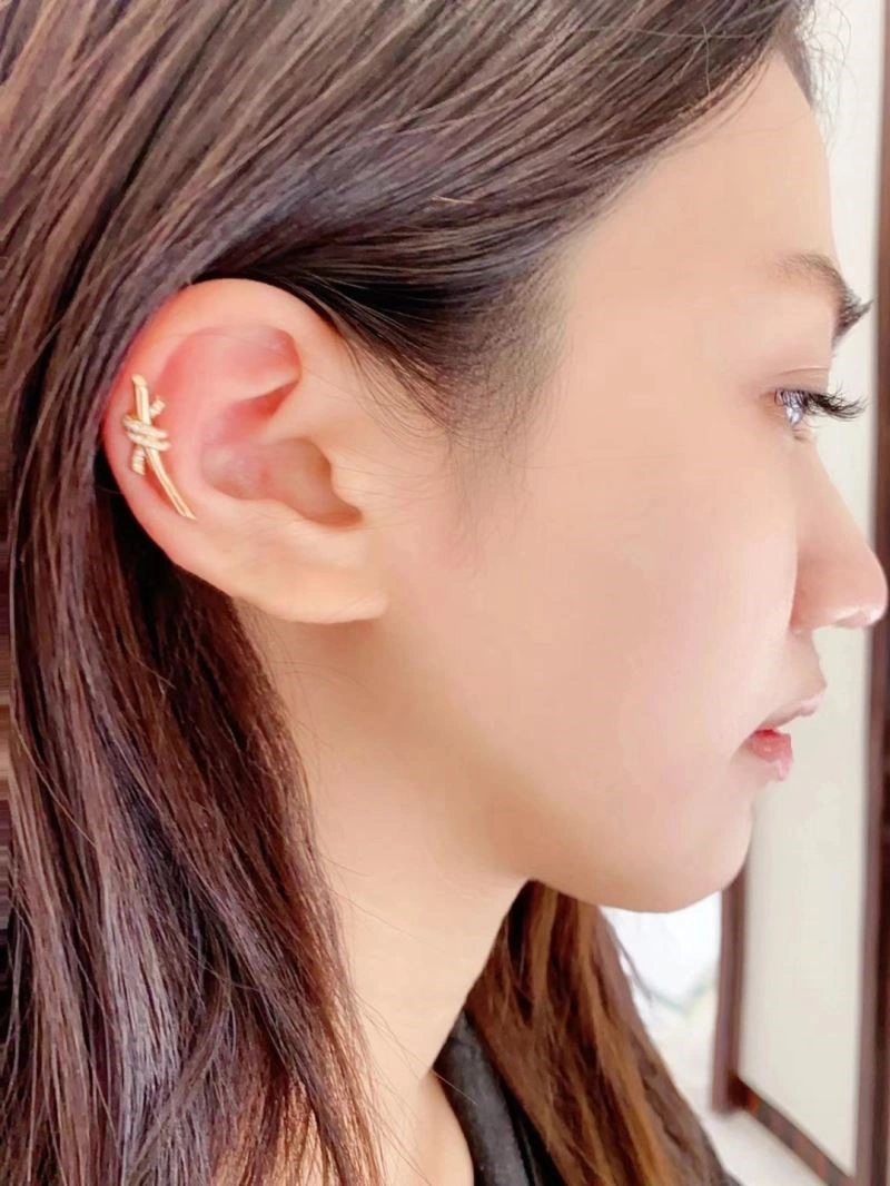 Top match Tiffany Earrings