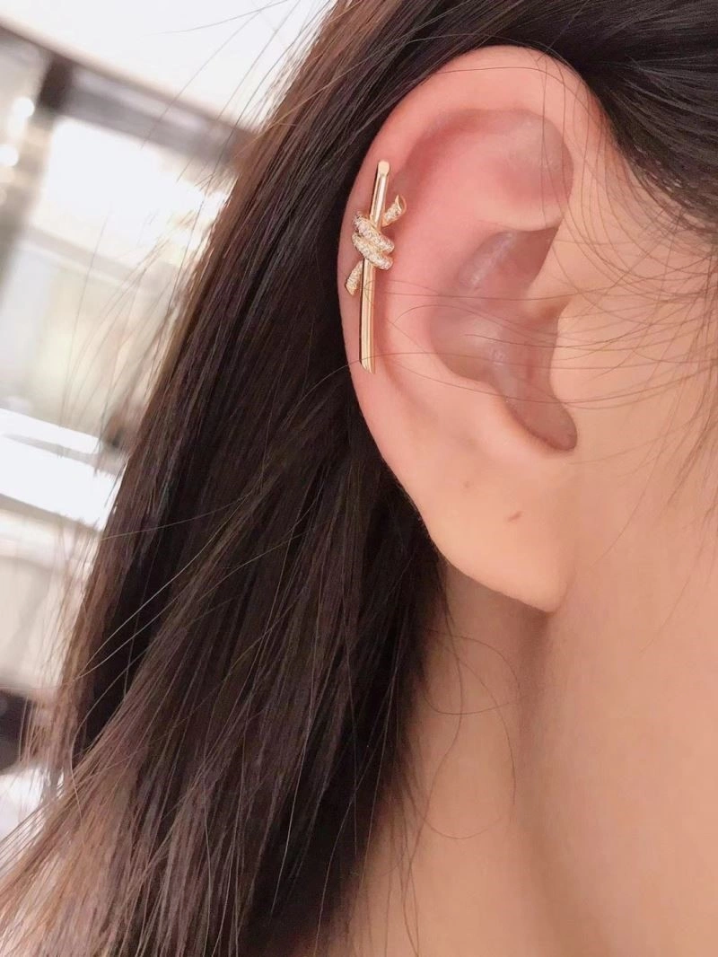 Top match Tiffany Earrings