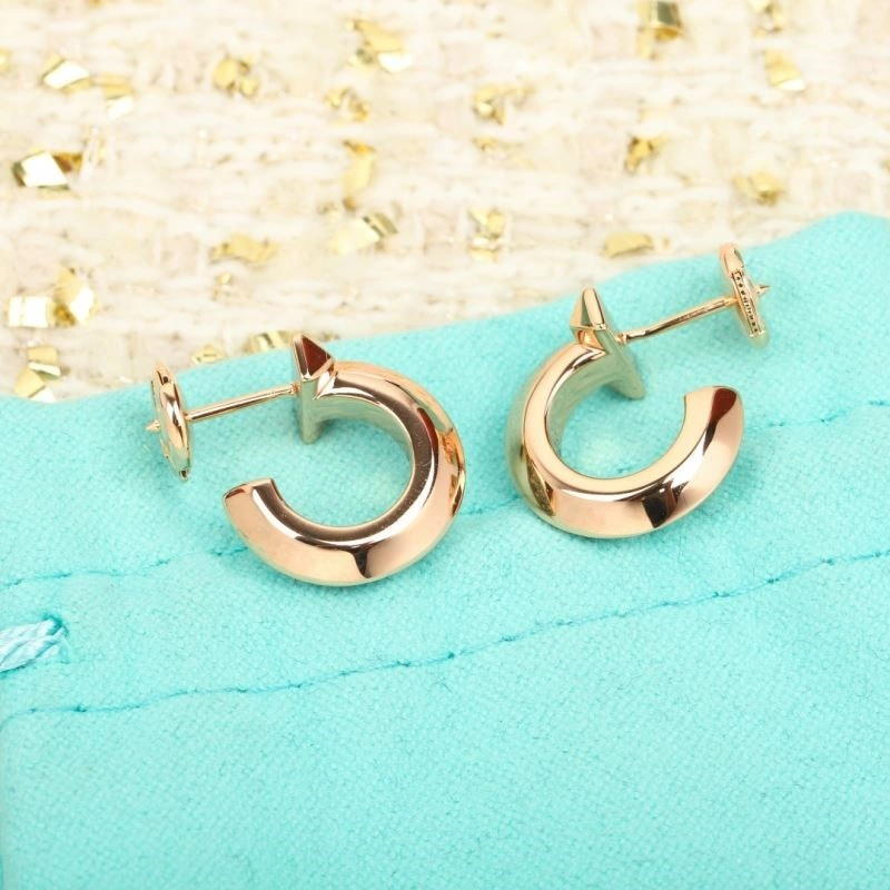 High fidelity Tiffany Earrings
