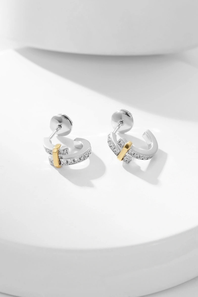 Low-cost Tiffany Earrings