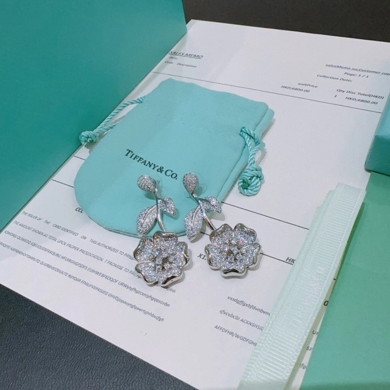 Top match Tiffany Earrings
