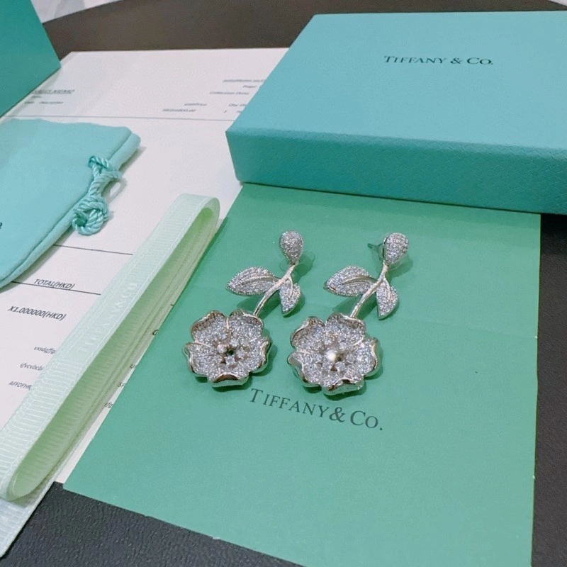 Top match Tiffany Earrings