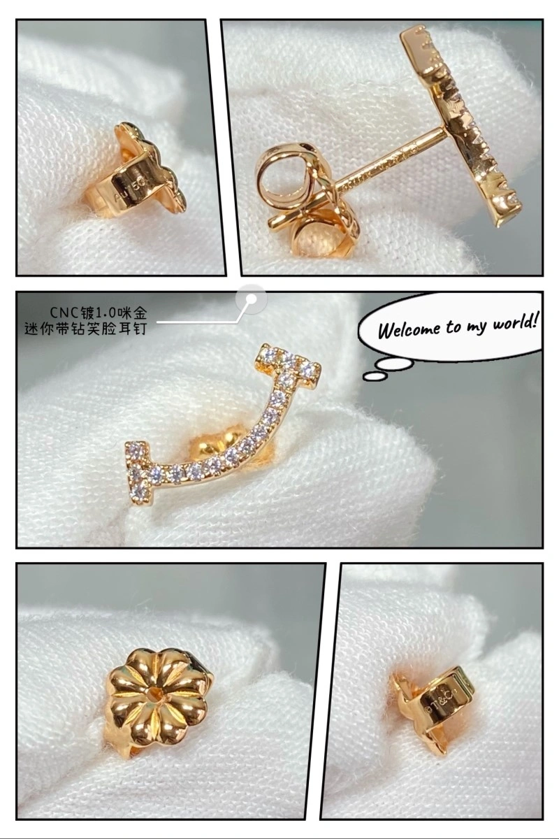 Cut-rate Tiffany Earrings