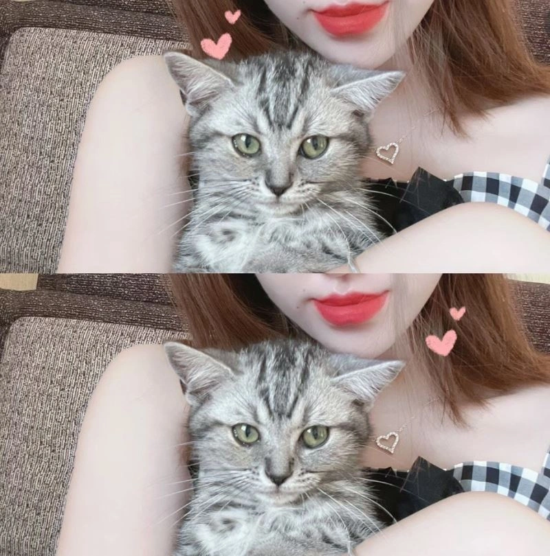 Accurate model Tiffany Necklaces
