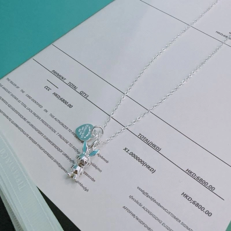 Top match Tiffany Necklaces