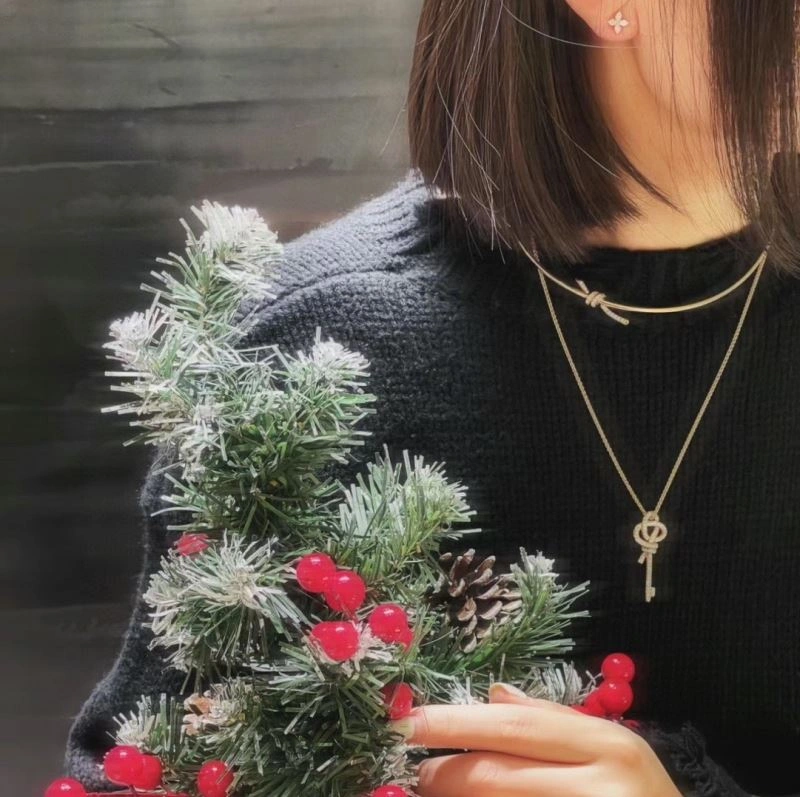 Budget-friendly Tiffany Necklaces